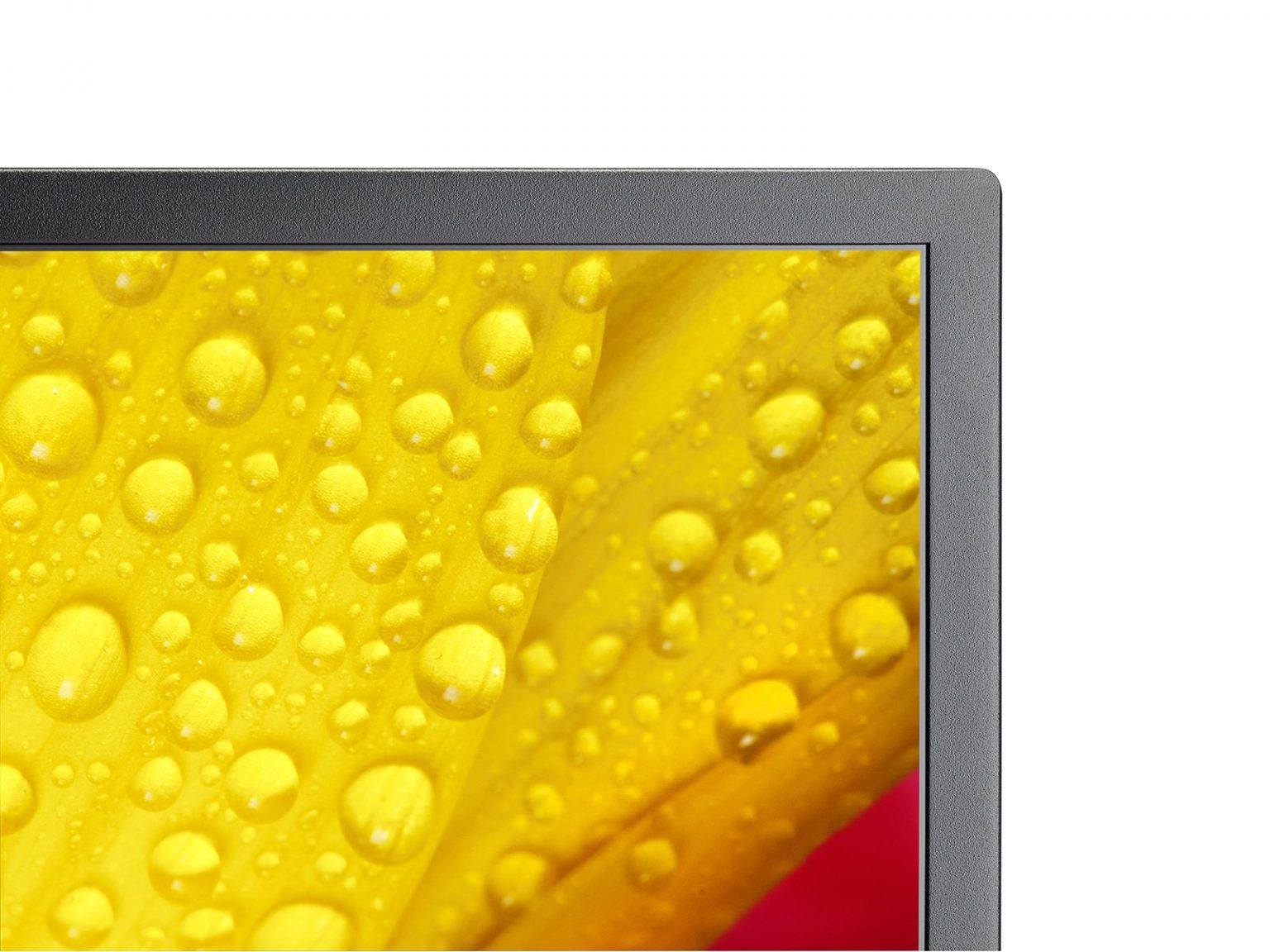 NEC MultiSync® ME551 LCD 55″ Message Essential Large Format Display – Omnivor